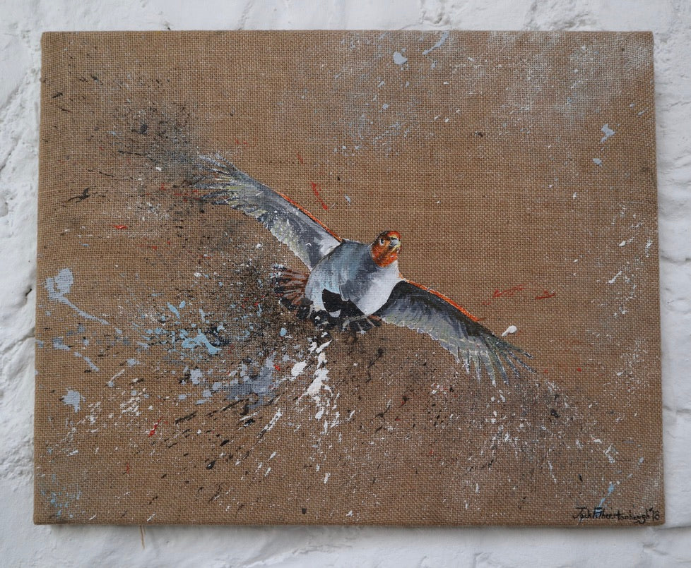 English Partridge – Jack Fethers